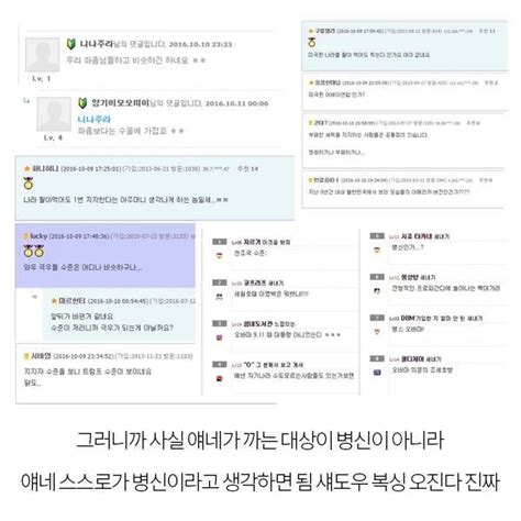 멍청한 트럼프 지지자에 대한 반박의 재반박 포텐 터짐 최신순 에펨코리아