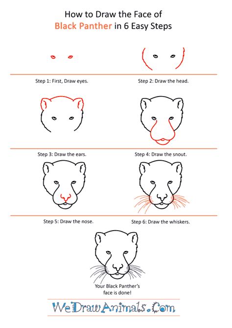 How To Draw A Black Panther Step By Step Rainforest