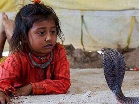 Snake Village भारत का अनोखा गांव जहां हर घर में कोबरा जैसे सांपों का