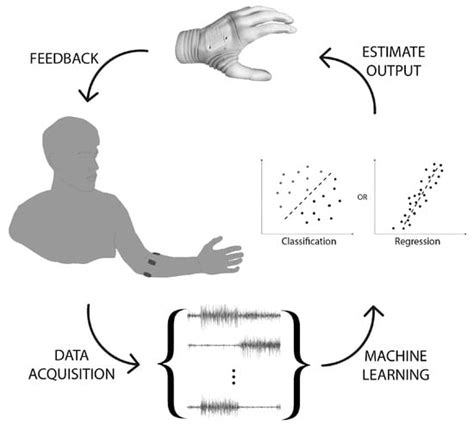 Myoelectric Control For Upper Limb Prostheses