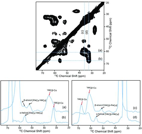 Figure S7 2D 13 C 13 C PDSD DNP NMR Spectra Of Specifically 13 C