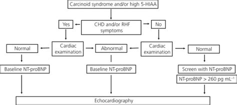 European Neuroendocrine Tumor Society Enets 2022 Guidance Paper For
