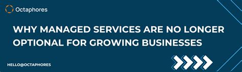 Vite Vs Create React App A Comprehensive Guide To Modern React Development In 2025 Bluudit