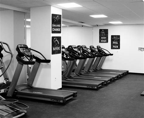 Buy Gym Posters For Home Gym Decor Motivational Posters For Gym