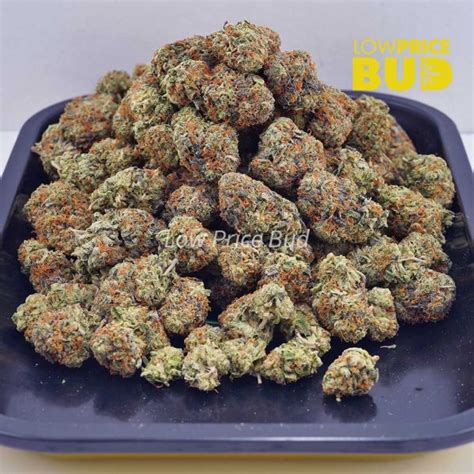 astro cookies aaa low price bud