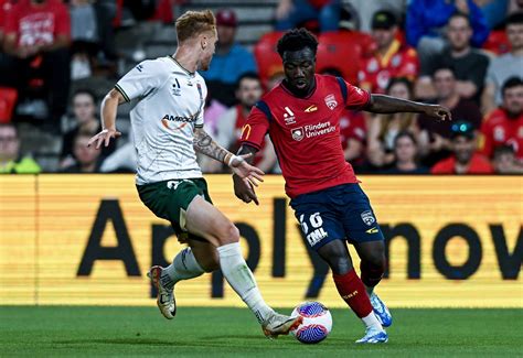 Predicciones Y Consejos De Apuestas De Newcastle Jets Vs Western United