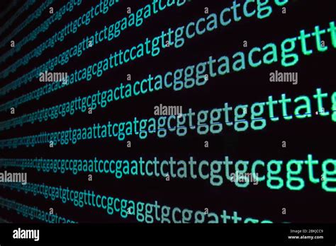 Dna Profile Hi Res Stock Photography And Images Alamy