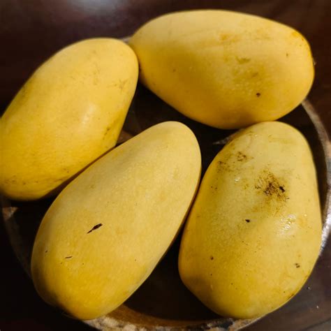 Elmer Esidera Quinto