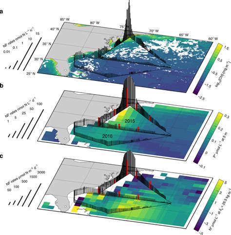 N2 Fixation Rates Nf Measured And Calculated In August 2015 And 2016
