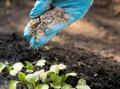 Type C Soil Characteristics Risks And Best Practices A Garden Diary