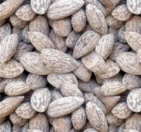 Amendoa Tor Salgada 1kg Alta Qualidade Frete Grátis