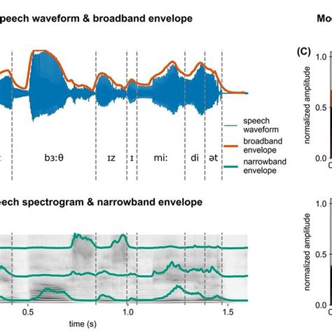 Speech Envelope And Modulation Spectrum A The Speech Waveform And Download Scientific