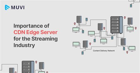 Importance Of Cdn Edge Server For The Streaming Industry Muvi One