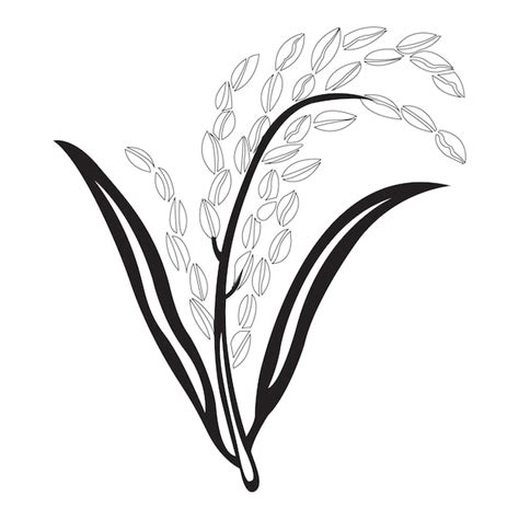 Design Elements Vector Illustration Premium Vector