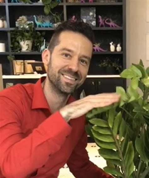 Calathea Care Guide 5 Expert Tips On These Fussy Plants Homes And