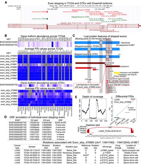 overview of exonskipdb a the genomic structures of exon skipping