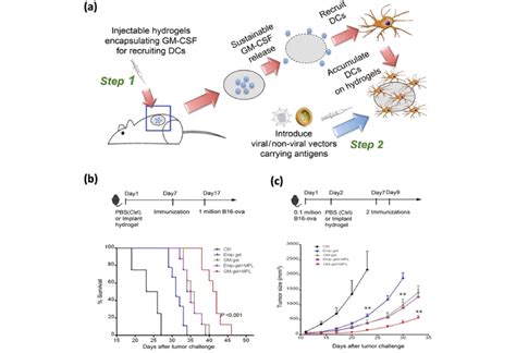 In Situ Modulation Of Dcs For Cancer Vaccines A Schematic Download Scientific Diagram