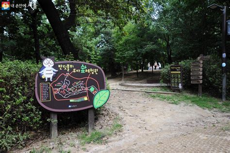 서울시 내 손안에 서울