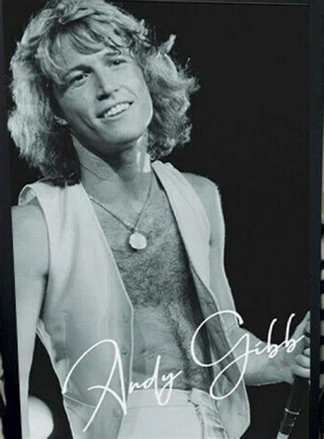 Pin By Csilla Traxler On Andy Gibb Andy Gibb Andy Fictional Characters