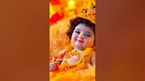 जय राधे जय राधे जय श्री कृष्णा बोलो जय राधे Love Krishna Short