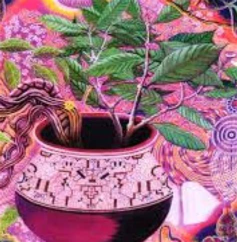 Духовное уединение, ретрит с использованием святой медицины Yage