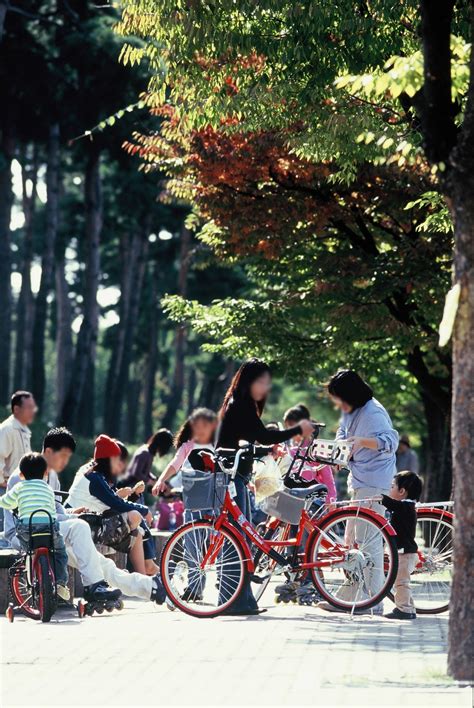 자전거타는사람들 서울연구데이터서비스