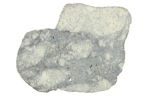 3 25 Eucrite Meteorite Slice 12 86 G From 4 Vesta Minor Planet 280671 For Sale