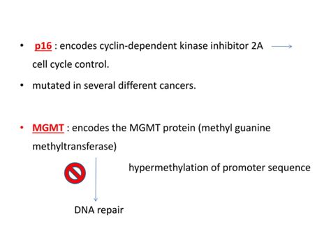 Serrated Pathway To Colorectal Neoplasia Ppt