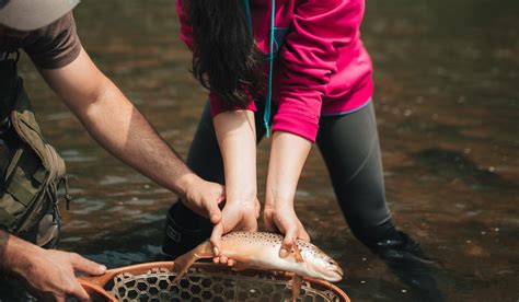 Lillie Keefer And Cody Stines Wedding Website