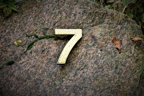 Explained The 7 Stages Of Trauma Bonding Christine Regan Lake