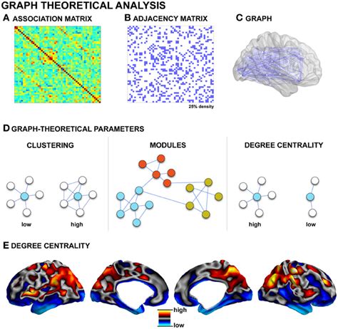 Frontiers Imaging Structural And Functional Brain Networks In