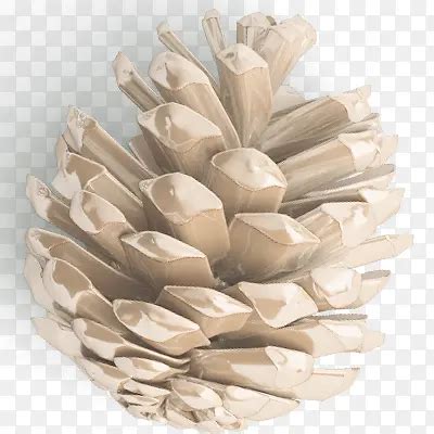 Png Png