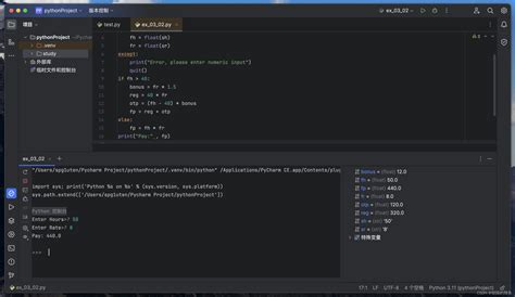 大型转码连续剧之——辣条自学python勇闯数据科学（一）前期准备与理解编程 数据科学 码农 csdn博客