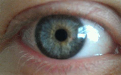 Yellow Green Blue Eyes