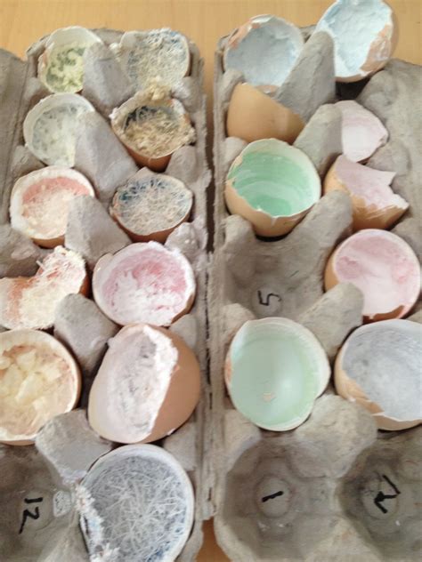 Live Your Art Eggshell Geodes