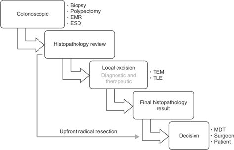 After Reviewing Colonoscopic Biopsy Patients Underwent Local Excision
