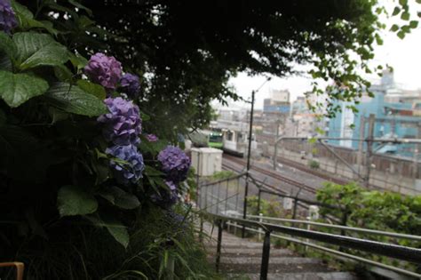 「宮本浩次」の新曲mvに西日暮里の『諏方神社』横の階段。 下町らいおん！台東区 荒川区版
