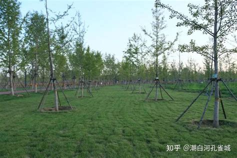 来自大厂的浪漫邀约爱了 知乎