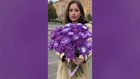 Гвоздика фиолетовая Вайт Перпл Молли цветымосква Youtube