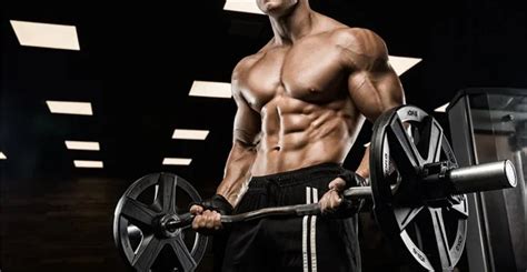 How To Get The Most Out Of Your Cutting Meal Plan Maxinutrition