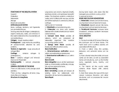 Functions Of The Skeletal System Functions Of The Skeletal System