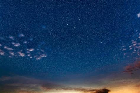 Premium Photo Delphinus Constellation Cluster Of Stars Dolphin