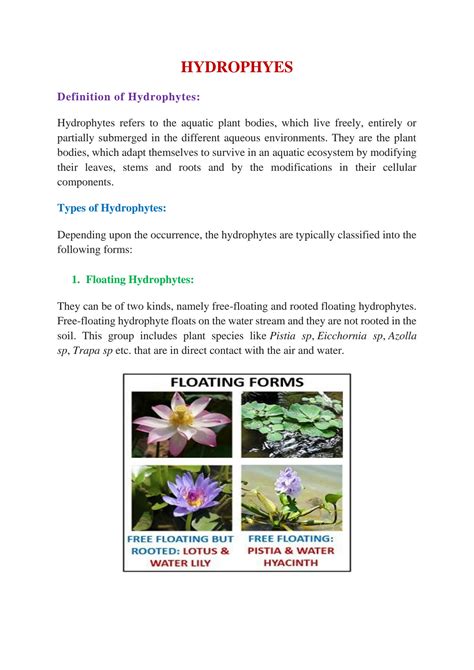 Solution Hydrophytes Ebs Converted Studypool