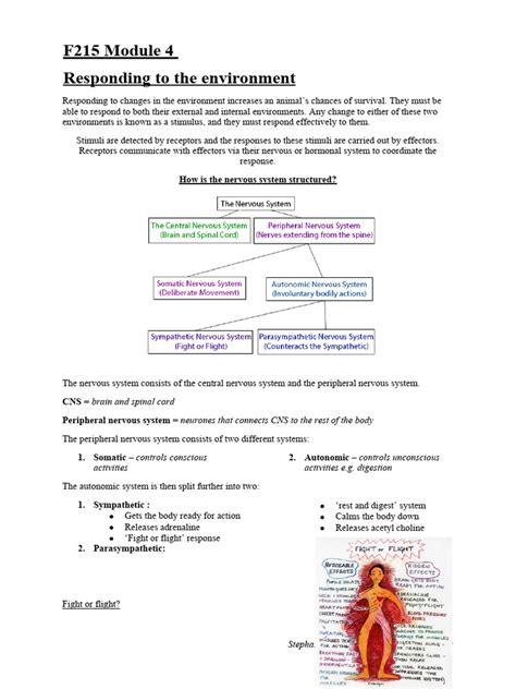 module 4 read only pdf muscle contraction skeletal muscle