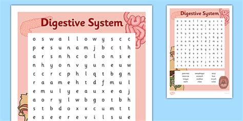 Digestion Word Search Digestive System KS2 Twinkl