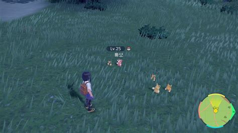 핑크 빠모 포켓몬 에펨코리아