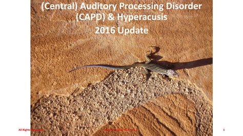 Pdf Central Auditory Processing Disorder Capd €¦ · Apd Is A