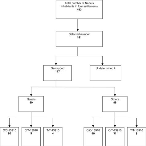 Flowchart Of Sample Selection Download Scientific Diagram
