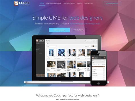 CouchCMS Review Andy Prakash