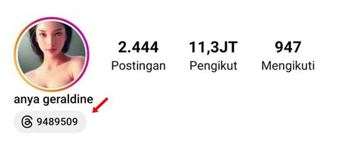 Cara Menampilkan Threads Di Bio Instagram Terbaru 2024